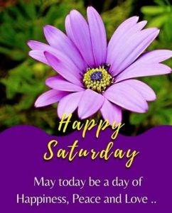 Happy Weekend Status & Quotes For A Weekend Lover