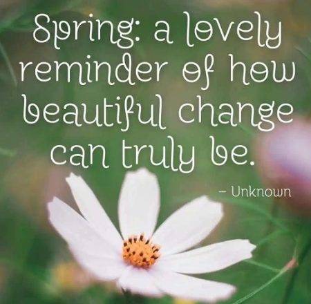 150+ [Top Class] Spring Status, Captions & Quotes For A Spring Lover