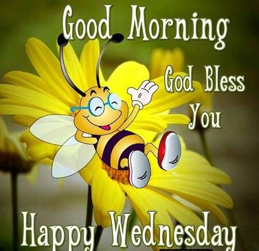 Workable Wednesday Captions, Status & Quotes For Wednesday Lover People
