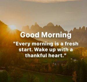 150 Heartfelt GM (Good Morning) Status and Quotes to Start Your Day