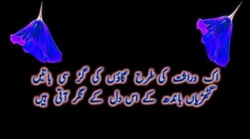 127+ Warasat Status: Quotes to Inspire and Reflect
