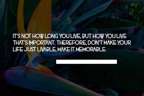 106+ Best Chugalkhor Status and Quotes for Every Occasion