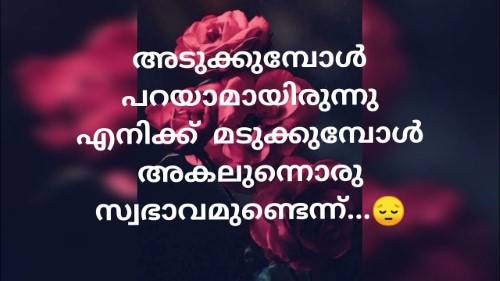 110+ Viraham Status and Quotes for Heartfelt Emotions