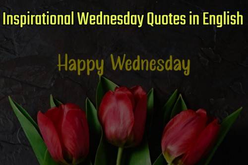 Wednesday Status:172+ Uplifting Quotes and Messages to Get You Through ...