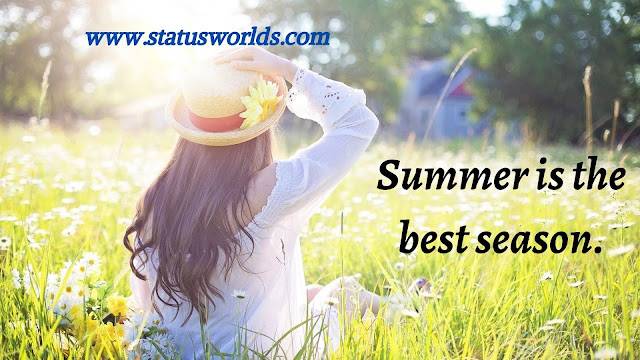 233+ Summer Status, Caption & Quotes For A Summer Lover