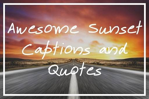 115+ Witty Quotes and Phrases for Your Snaps