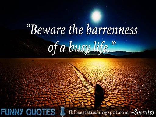 120+ Engaging Quotes to Keep Your Contacts Informed