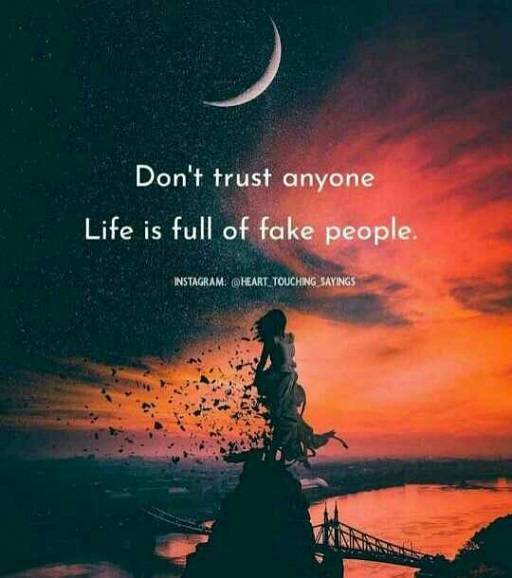 120+ Guarding Your Trust: Unveiling the Power of 'Don't Trust Anyone ...