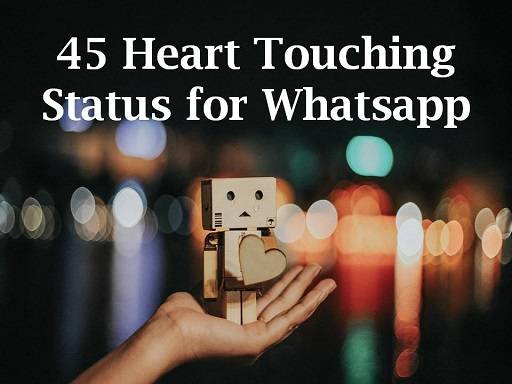 120+ Heart-Touching WhatsApp About Lines to Stir Your Soul