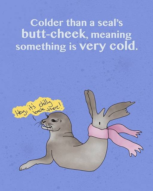 115+ Discovering the Depths of Cold: Exploring 'It's Colder Than ...